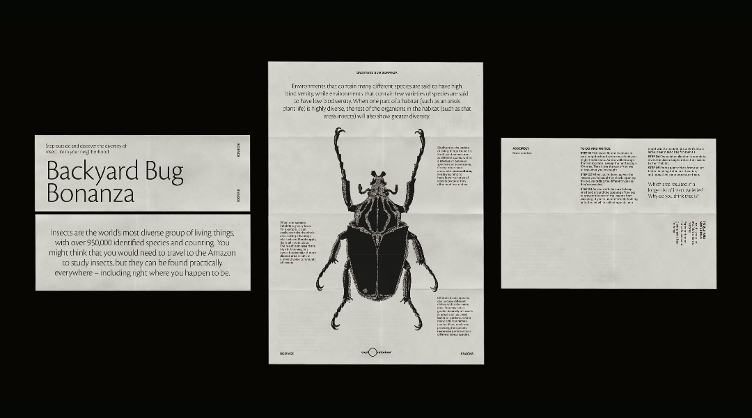 Ecobites Indigo Award winner 2025