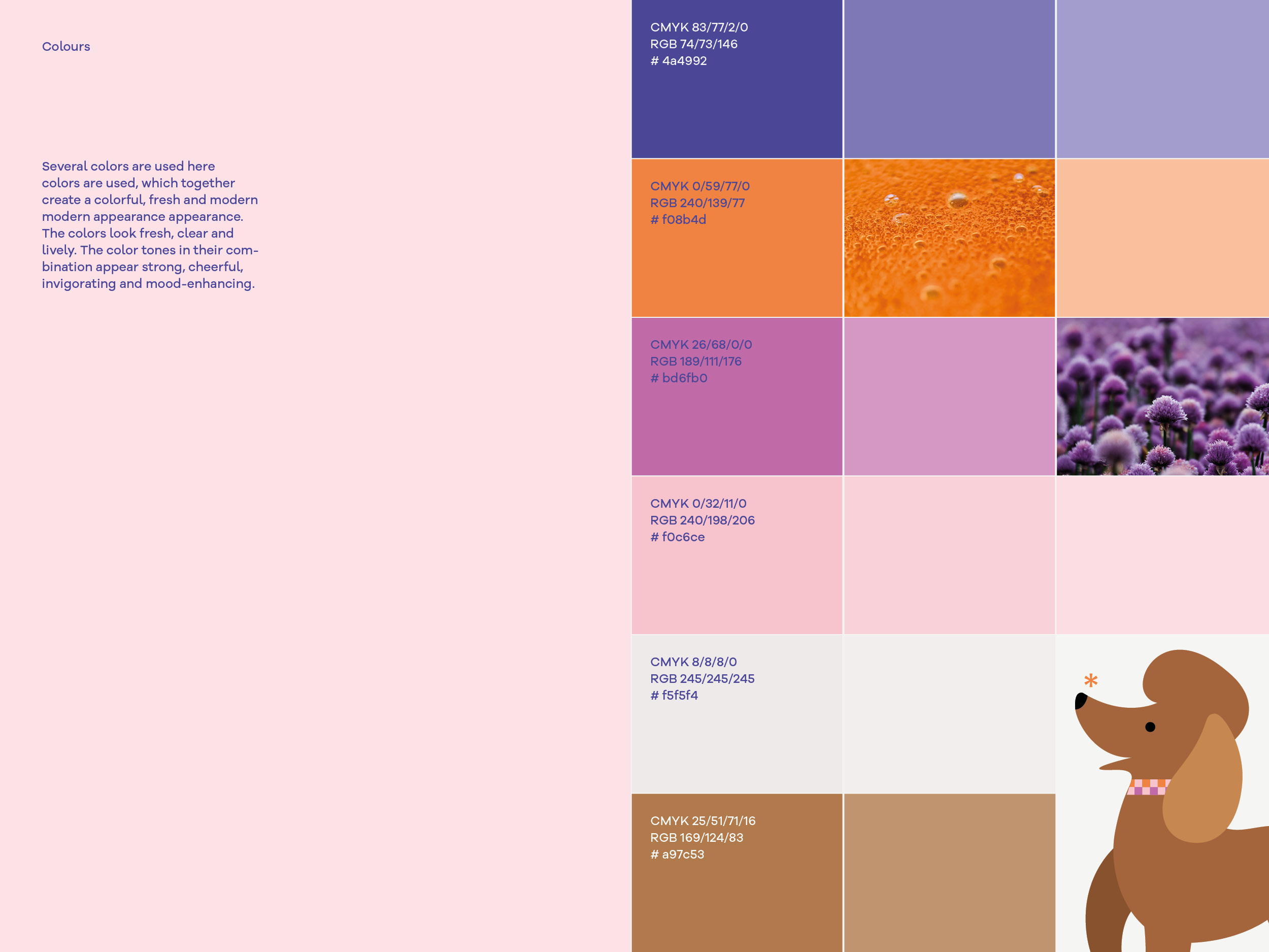 impresionante - that special something Indigo Award winner 2024